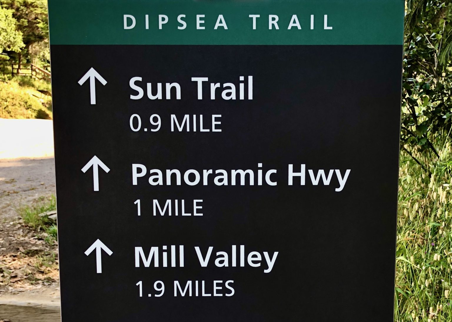 Great Marin County Hikes – Mount Tamalpais Muir Woods Loop – Daniel Mangin
