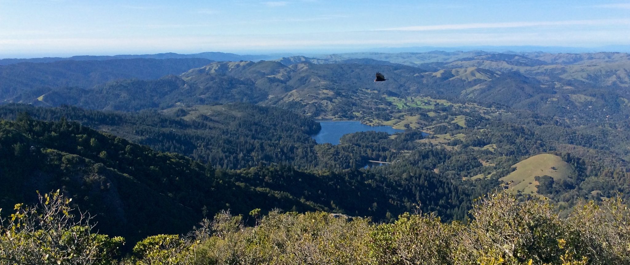 Great Marin County Hikes – East Peak Mount Tamalpais – Daniel Mangin