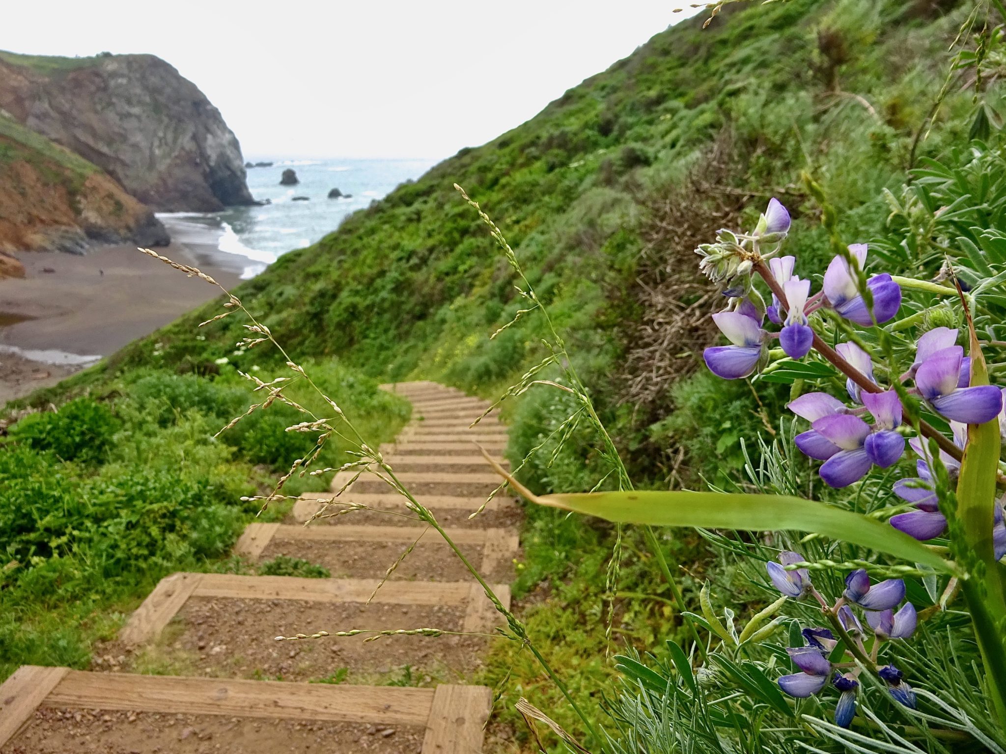 Great Marin County Hikes – Tennessee Valley – Daniel Mangin