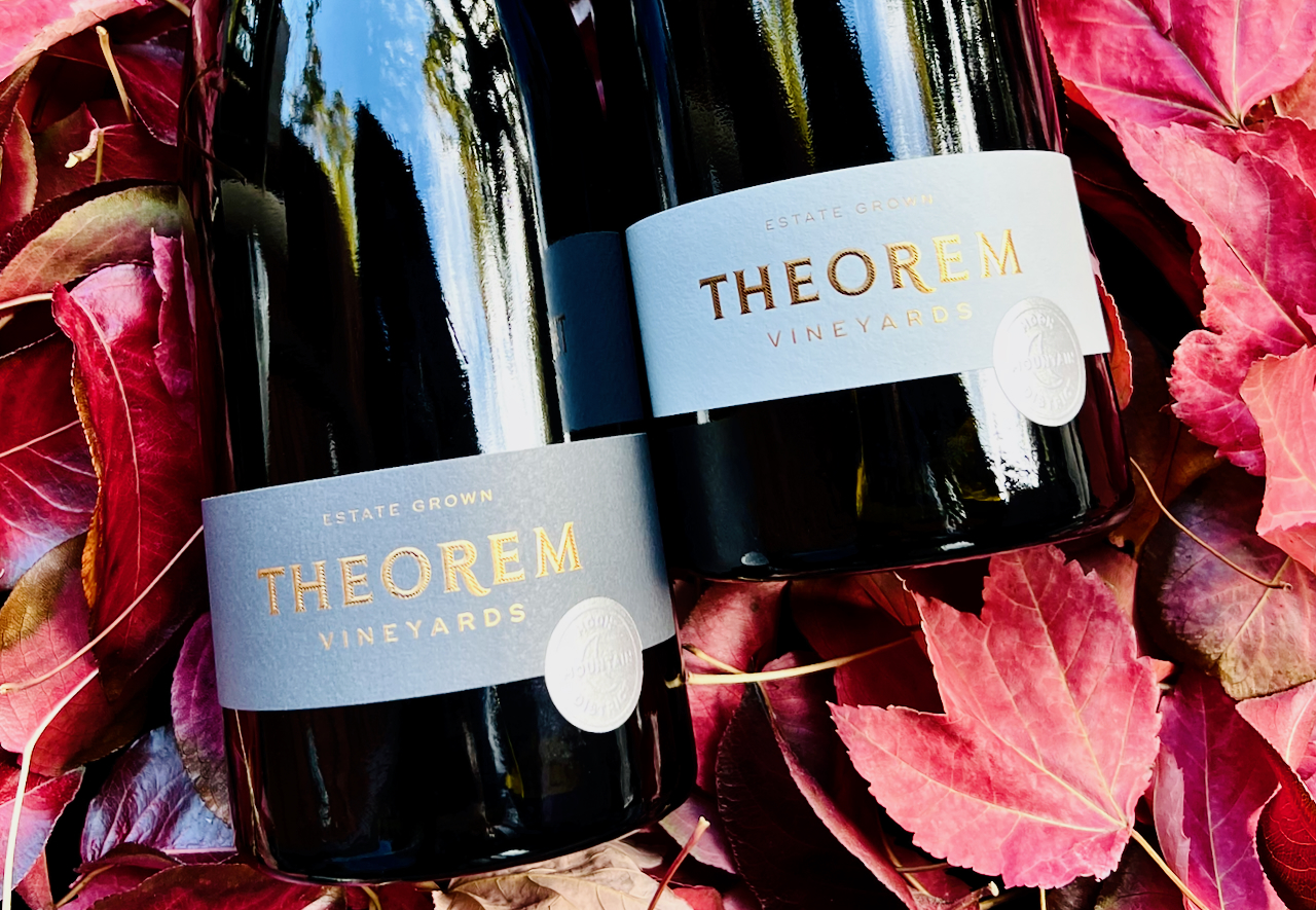 Theorem Vineyards Team Crafts Classy, Aromatic Wines – Daniel Mangin